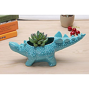 VanEnjoy 12 inches Cute Cartoon Dinosaur Ceramic Succulent Planter, Water Culture Hydroponics Bonsai Cactus Flower Pot,Air Plant Vase Holder Desktop Decorative Organizer (Stegosaurus, Blue)