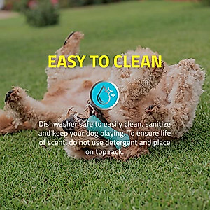 Playology Dual Layer Bone Dog Toy, for Large Dogs (35lbs and Up) - for Heavy Chewers - Engaging All-Natural Peanut Butter Scented Toy - Non-Toxic Materials