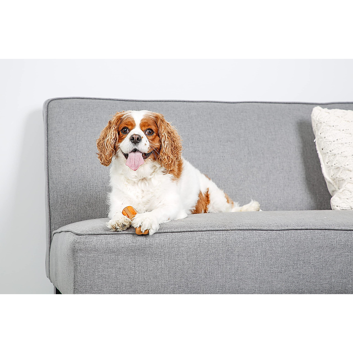 Hartz Chew ‘n Clean Chicken Flavored Drumstick Dog Treat & Chew Toy, Small, 2 Pack