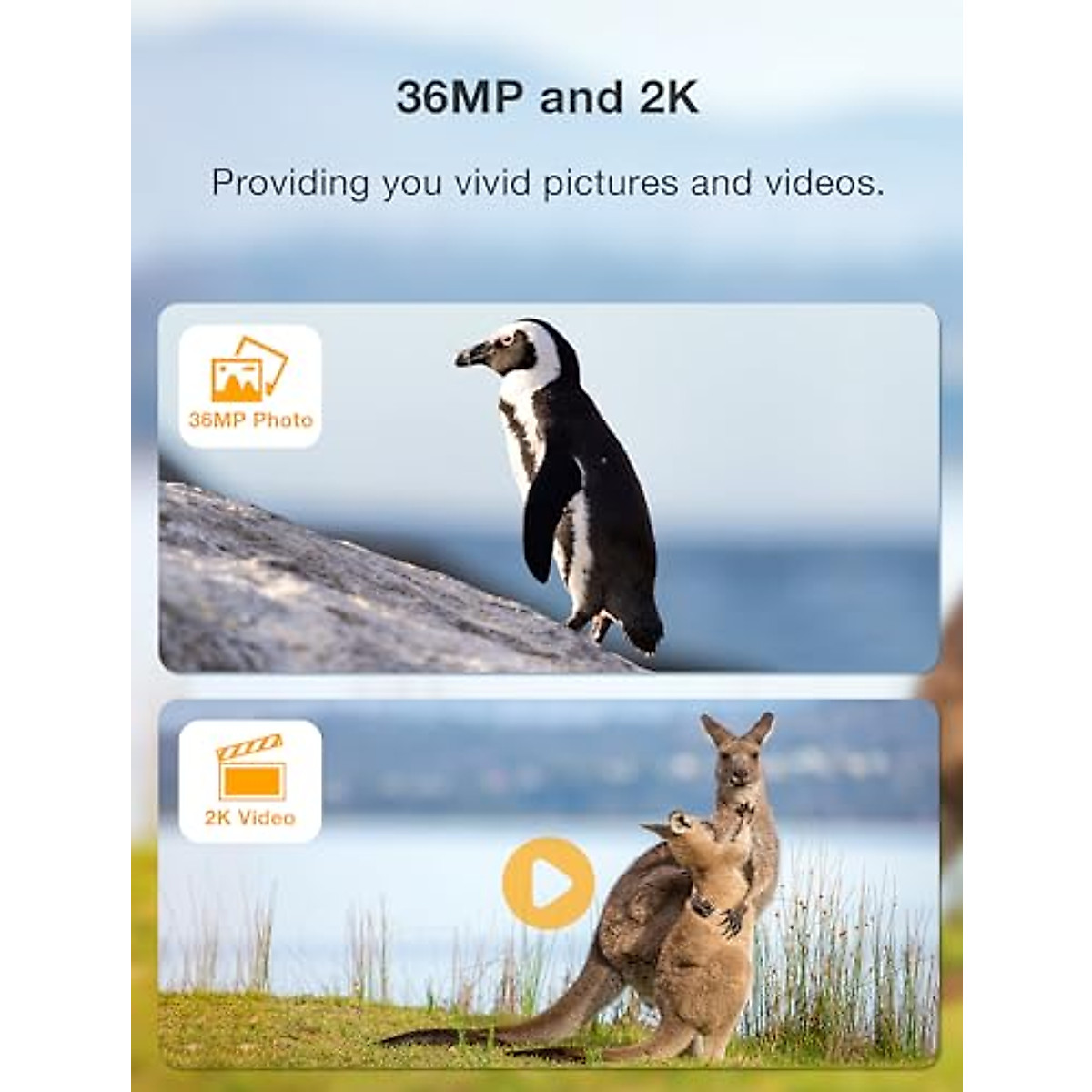 VOOPEAK 2 Pack Trail Camera - Game Camera 36MP 2K Motion Activated Trail Cam Scouting Hunting Cam Wildlife with 2.0 LCD Screen 120° Wide Angle Lens Night Vision Waterproof IP66