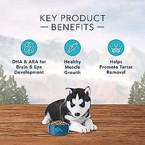 Blue Buffalo Wilderness High Protein, Natural Puppy Dry Dog Food, Chicken 24-lb