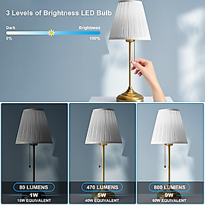 2024 NEW 3-Way LED Bulb for ON/OFF Old-Style Switch Fixtures (Not Compatible with Twist Switch), Daylight 5000K, A19 Three-Level Brightness Bulb for Pull Chain Lamps, 15/40/60W Equivalent, 4 Pack
