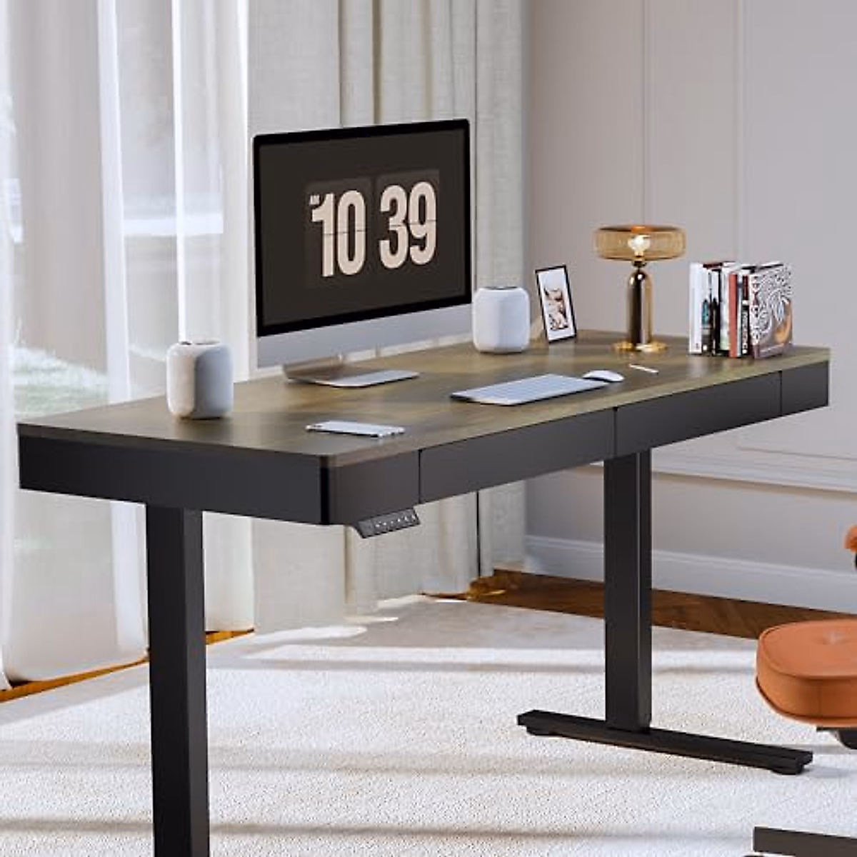 FLEXISPOT Q5 Standing Desk with Drawer, 48 x 24 Inch Electric Adjustable Height Stand Up Desk with Storage Organizer, Whole Piece Wooden Desktop for Home, Office, Computer Workstation, Dark Brown