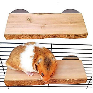Chinchilla Wood Ledge 2Pcs Natural Wooden Shelf Standing Platform Chew Toys for Hamster Rat Guinea Pig Mouse Bird 2.6" x 5.9"