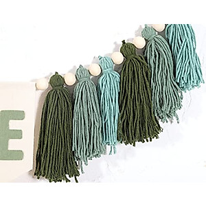 Greenery 1st Birthday High Chair Banner,Nature 1st Birthday Highchair Banner , One Birthday High Chair Banner , Tassel Bunting , Wooden Tassel Garland (Greenery 1st Birthday Banner Green)