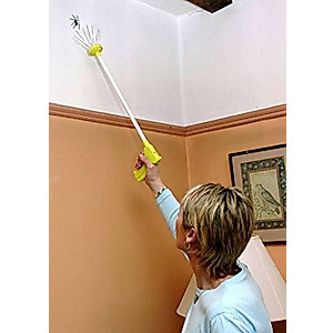 My Critter Catcher Spider and Insect Catcher (Pack of 2)