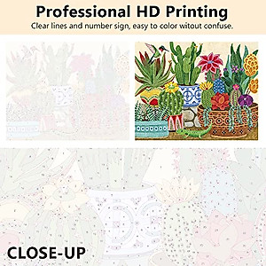 TISHIRON Paint by Number Easy for Adults Kids Beginner, Drawing Paintwork with Paintbrushes, Arts Craft Home Wall Decor, Acrylic Pigment-Holiday Decor Gifts, Succulents Collection 16x20inch