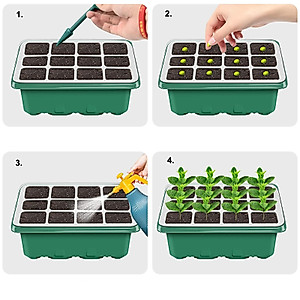 NBPLUS Seed Starter Tray with Grow Light, 5 Pack 60 Cells Seed Starter kit with Humidity Dome and Base, Plant Seedling Trays Indoor Greenhouse Gardening (Green 5 Pack)