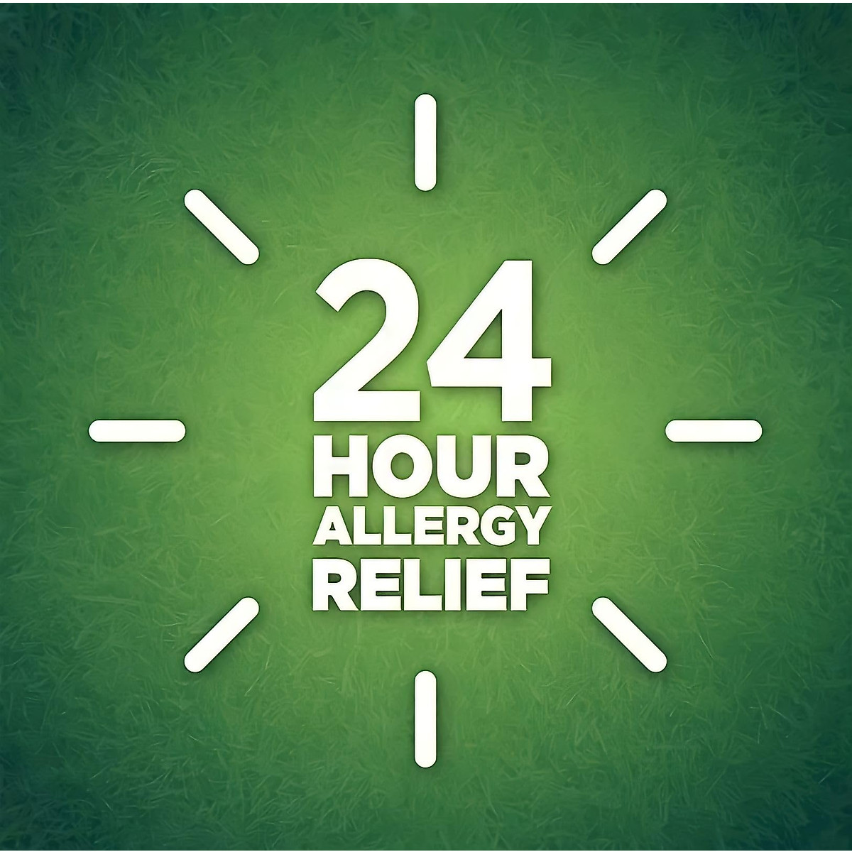 berkley jensen 24 Hour Allergy Relief (365-Count), 10 mg Cetirizine Hydrochloride Antihistamine - Fast Allergy Medicine for Indoor & Outdoor Allergies, Easy-Swallow Tablets, Compare to Zyrtec