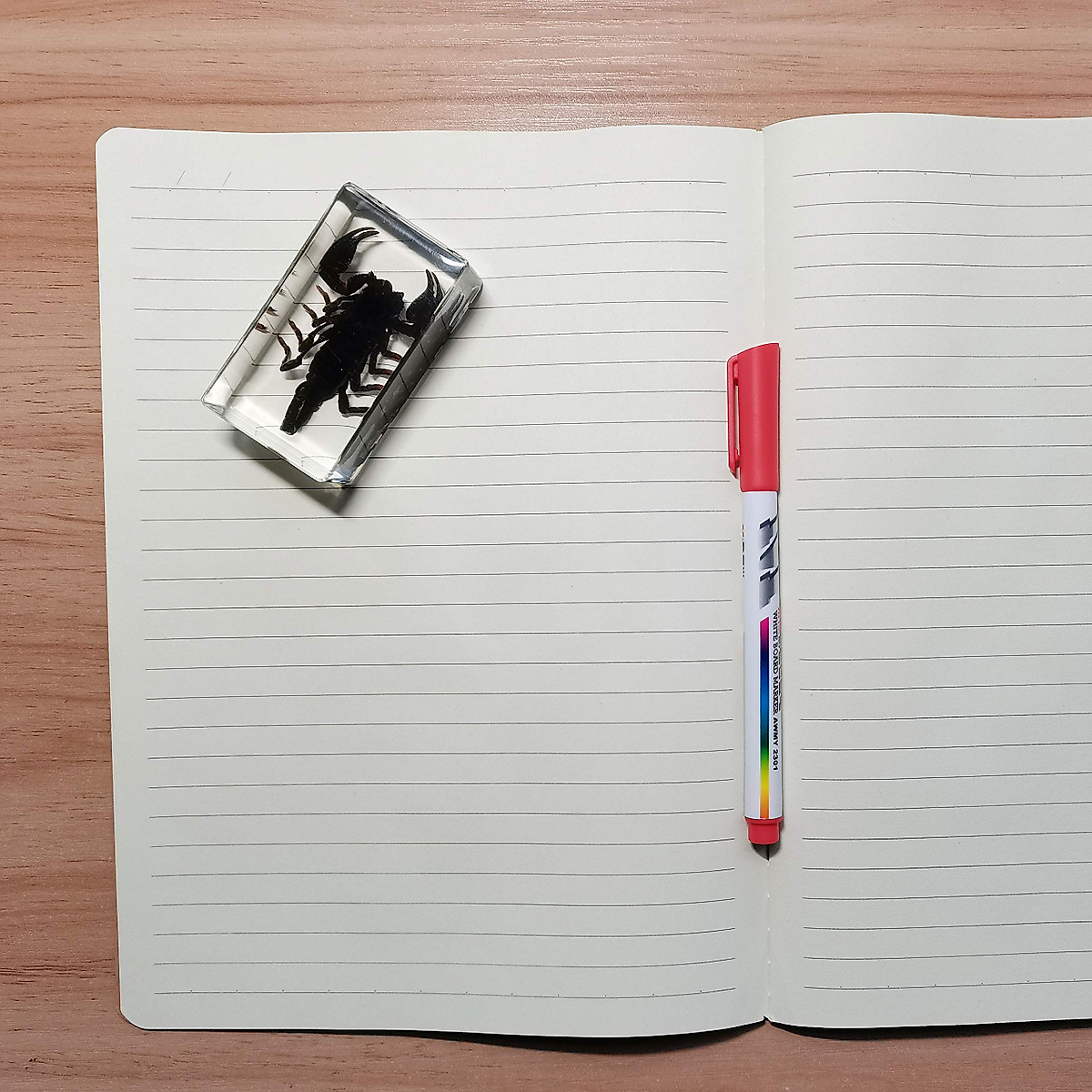 Real Giant Forest Scorpion Insect Specimens In Resin Paperweight Crafts, Animal Taxidermy Collection for Science Education & Desk Ornament (Giant Forest Scorpion)