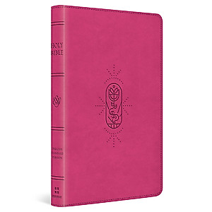 ESV Kid's Bible, Thinline (TruTone, Berry, The True Vine Design)