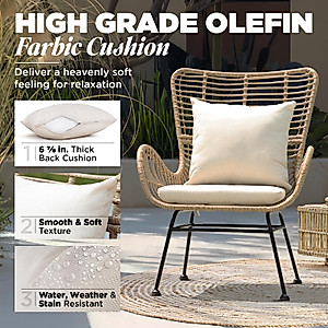 IDZO Patio Wicker Set of 2 Outdoor Dining Chairs, 500lbs, Beige