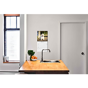 2023 2024 West Highland Terrier Calendar - Dog Breed Monthly Wall Calendar - 12 x 24 Open - Thick No-Bleed Paper - Giftable - Academic Teacher's Planner Calendar Organizing & Planning - Made in USA