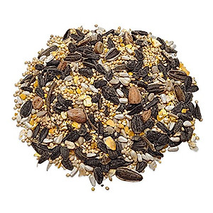 Audubon Park 12230 Songbird Blend Wild Bird Food, 5.5-Pounds, 4.5 lb, Green