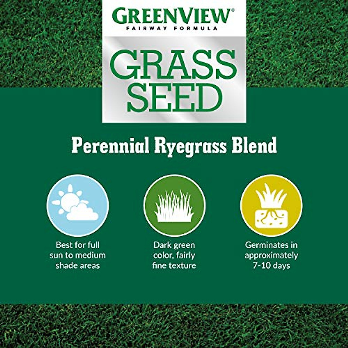 Greenview Fairway Formula Grass Seed Perennial Ryegrass Blend - 3 lb. Bag