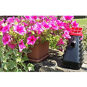 Grandpa Gus's Outdoor Mosquito Trap, Water-Activated Insecticide-Texturized Mosquito Larvae Killer, Protects up to 1500 sq ft (Pack of 2)