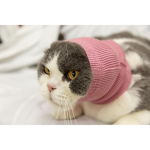 DDFS No Flap Ear Wrap Cat Small (6 Pack), Dedication No Flap Ear Wraps Cat No Flap Ear Wrap Pinpoint Mesh Wine Red S