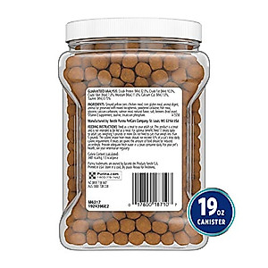 DentaLife Purina Made in USA Facilities Cat Dental Treats, Savory Salmon Flavor - 19 oz. Canister