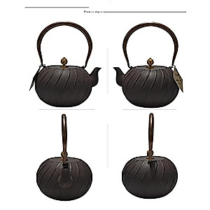 Work Hall Iron Pot Cast Iron Pot Uncoating in Southern Japan Pig Iron Pot Teapot Tea Set-see chart