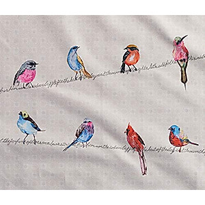 Maison d' Hermine Birdies On Wire 100% Cotton Set of 2 Multi-Purpose Kitchen Soft Absorbent Dish Towels | Tea , Bar Towels (20 Inch by 27.50 Inch)