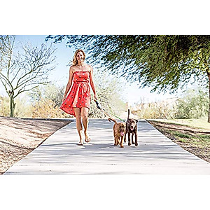 Wigzi Two Dog Retractable Non-Tangling Dog Leash with Innovative Gel Handle - Walk 2 Dogs Up to 50 lbs Each - 10 ft Leads, Small/Medium, Gray