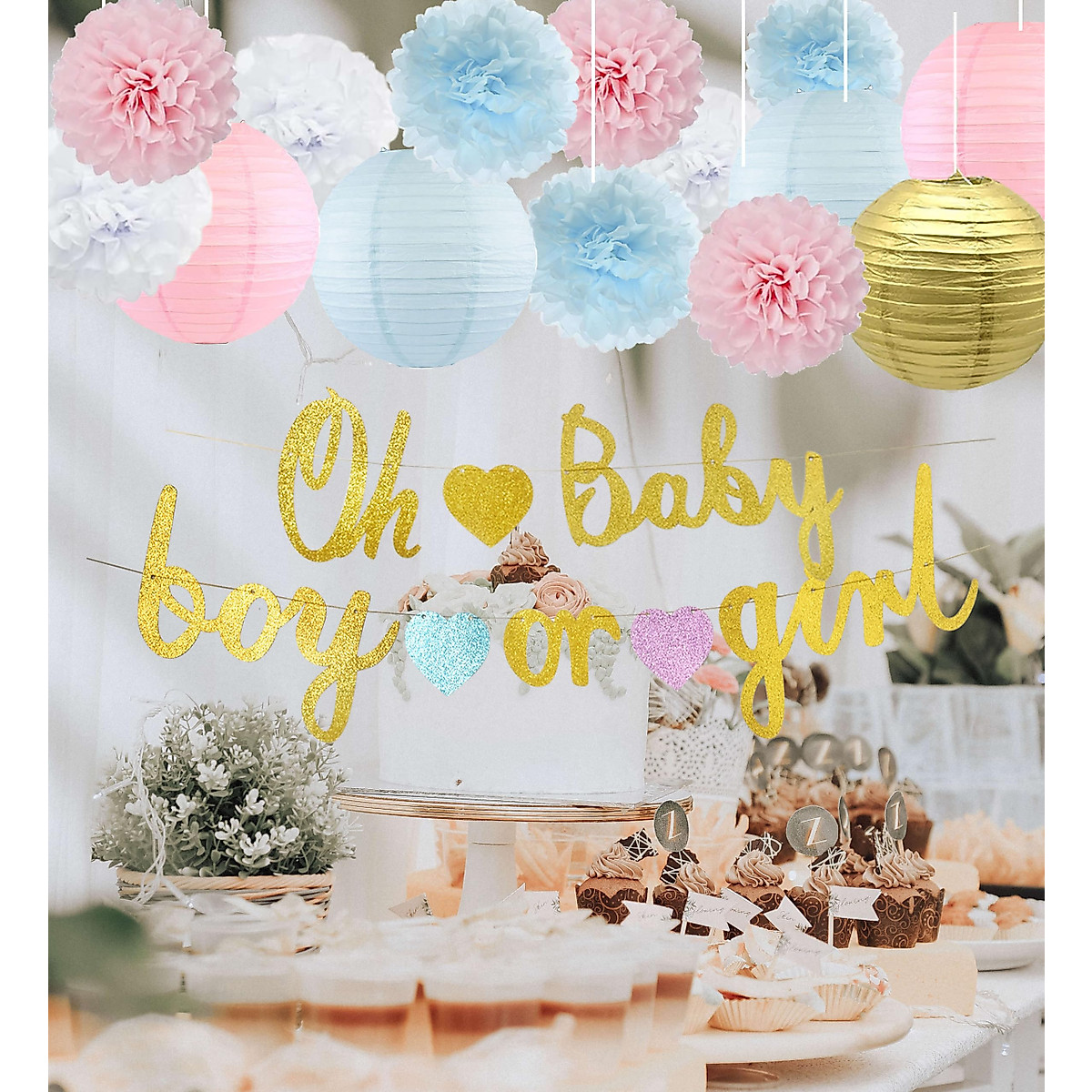 Kiwayo Baby Gender Reveal Party Decorations Supplies Kit Blue & Pink- Boy or Girl Banner, Tissue Paper Poms, Paper Lanterns, Circle Dot Garland, Tassels Garland- Gender Reveal Ideas Boy Or Girl