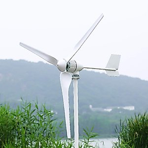 NINILADY 2000W Horizontal Wind Turbine with Hybrid Controller Inverter 24v 48v 96v Wind Generator Free Energy (48V, with Hybrid MPPT Controller)