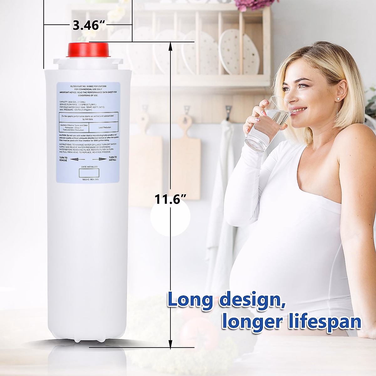 51300C,Replacement Filters (2-pack) for 51300C, (12 inch Chipless) Longer Service Life