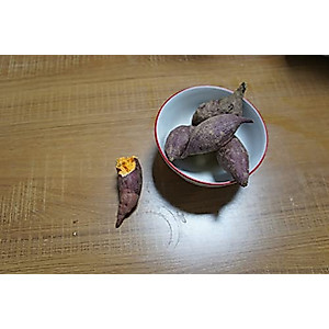 BlueNatHxRPR 1.1 MFD uF Microwave Capacitor Compatible for GE WB27X10907 and Others