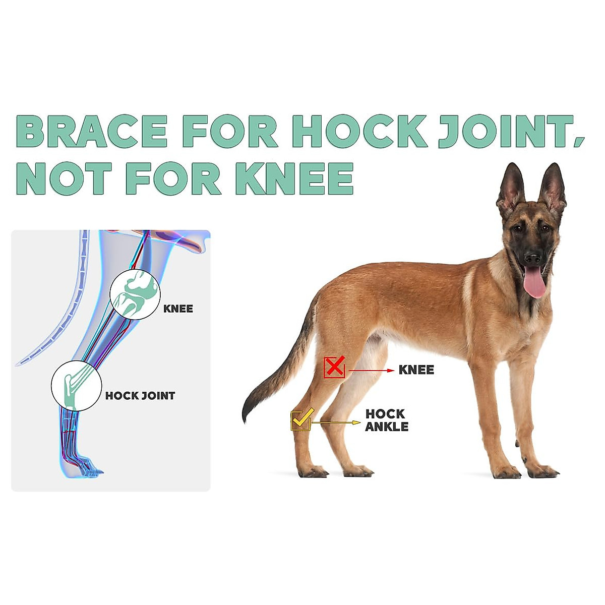 Lyderpet Dog Leg Brace for Hind Hock Joint, Rear Ankle Compression Wrap with Metal Strips Strong Support for Torn ACL & CCL, Prevents from Injury and Sprain, Helps with Wounds Care and Arthritis (S)