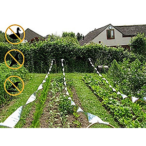 TooDeal 2PCS Bird Scare Repellent Flash Tape Holographic Deterrent Devices for Pigeon - Repellant Products to Prevent Birds from Hitting Windows/House - Reflective Ribbon