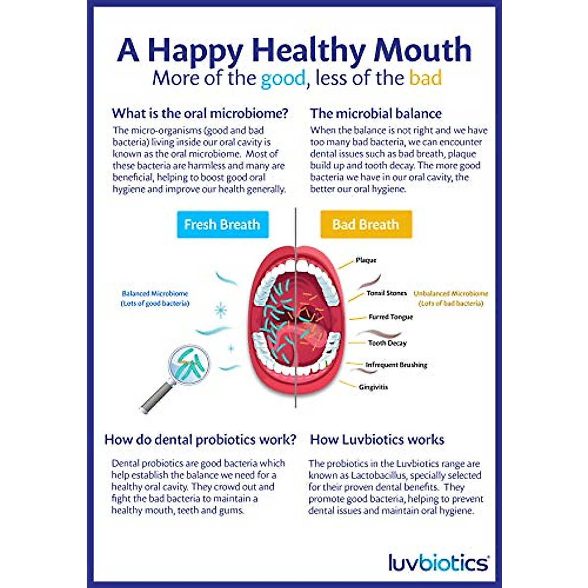 Luvbiotics Original Toothpaste with Probiotics & Xylitol Promotes Good Bacteria for Fresh Breath, Healthy Gums & Teeth. Free from SLS, Parabens, Artificial Colors, Flavors, and Sweeteners 75ml Tube
