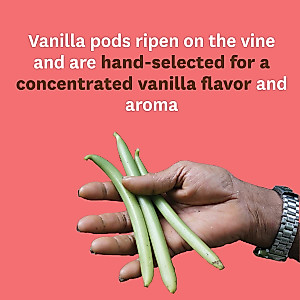 Heilala Everyday Vanilla 16.90 fl oz