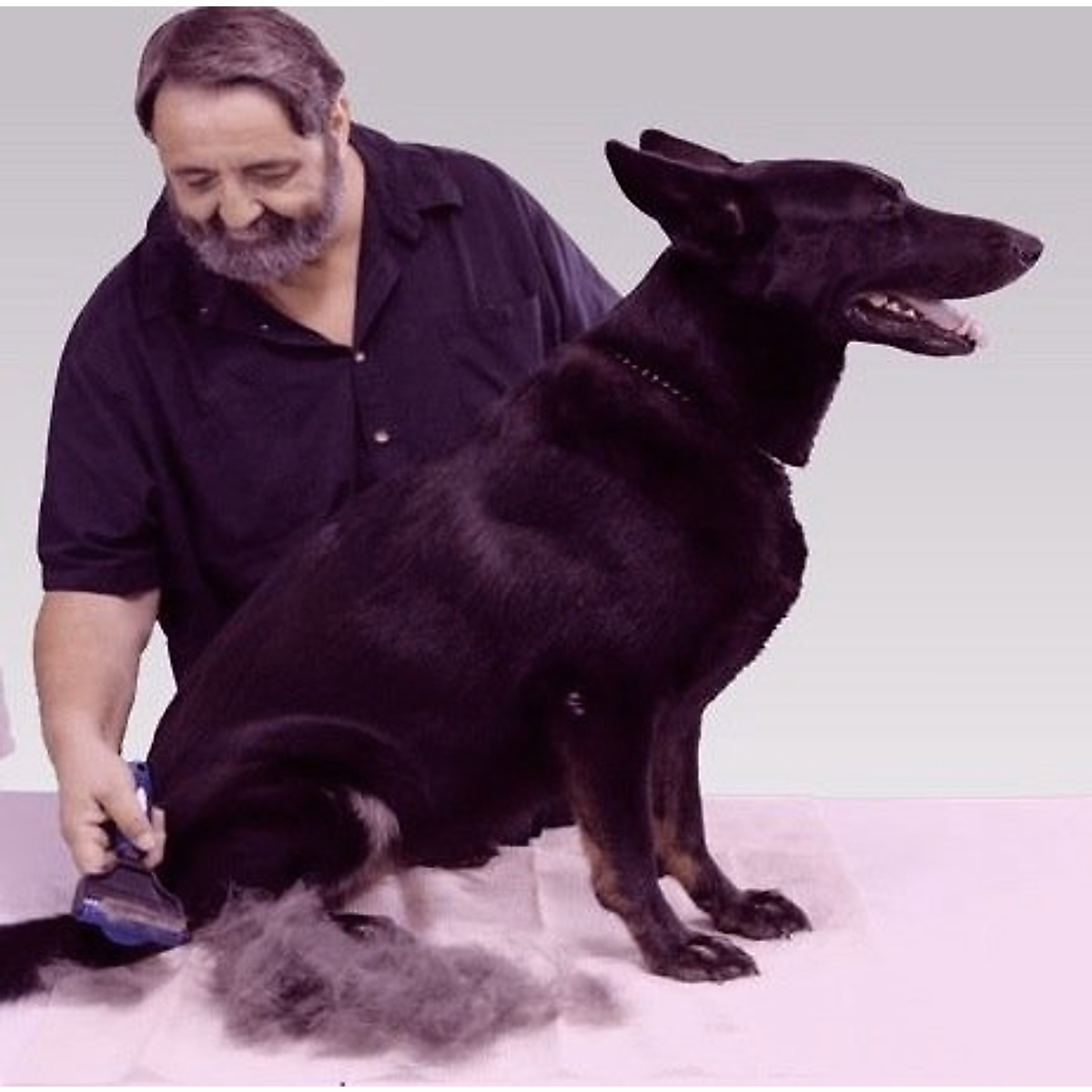 Pet Grooming - The Desheddinator Dog Brush Dog Comb and Undercoat Rake for Dogs Cats + Horses. Cat Brush for Shedding, Cat Grooming Brush, Cat Comb & Cat Groomer At Cat Products. De-shedding Tool