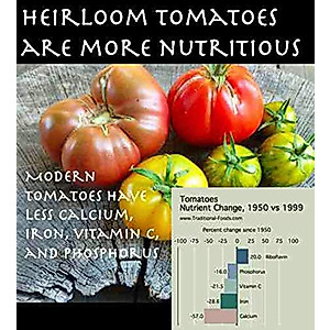 Tomato, Rutgers, Heirloom, 25 Seeds, Deliciously Sweet RED Tasty Fruit