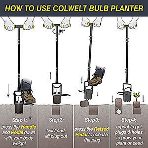 Colwelt Bulb Planter Tool Long Handle, Serrated Base Gardening Bulb Transplanter with Soft Grip, Heavy Duty Long Handled Bulb Planter Sod Plugger for Digging Holes to Plant Tulips, Iris, Daffodils