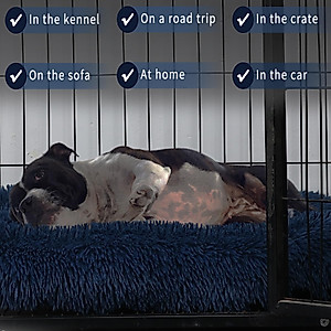 24x18 Dog Bed for Crate Washable,Puppy Bed for Crate 24Inch Luxury Plush Soft Breathable,Square 24 Inch Dog Crate Bed Thick Fluffy Calming Cozy with Anti-Slip Bottom for Up to 25 lbs Pet (Navy Blue)