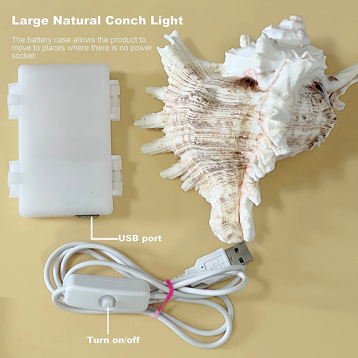 MIYA LIFE Magic Conch Shell Lamp - LED Lighted Real Conch Shell Night Light (Medium, Largest Side Around 5.5'') USB Plug & Battery Powered Seashell Lamp Sea Lamp for Bedroom Beach Themed Room Decor