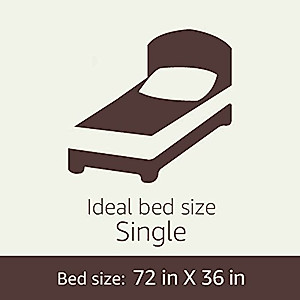 Amazon Basics 5-Piece Lightweight Microfiber Bed-In-A-Bag Comforter Bedding Set - Twin/Twin XL, Coral Medallion