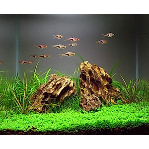 AWXZOM 4.4lb+ Natural Dragon Rock Carefully Selected Mixed Sizes, Decorative Aquarium Rocks, Aquarium Stones for Fish Tank