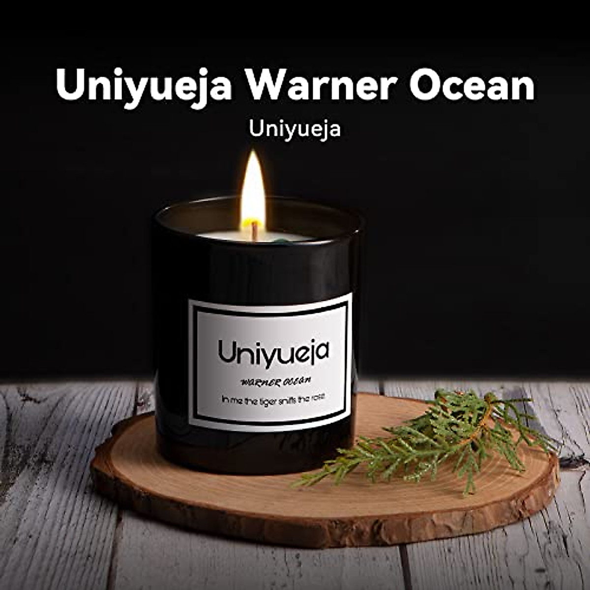 Scented Candles for Men— Candle for Men | Soy Candles for Home Scented | 8 oz 46-48 Hour Burn | Masculine Candle Black Jar | Father's Day Gifts(Warner Ocean) Valentines Day Gifts for Him