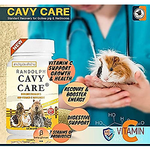 RANDOLPH Cavy Food Care 70 g. IMMUNOSTIMULANTS & Vitamin C Supplement Recovery & Booster Energy for Guinea Pig & Herbivores Small Pet, Probiotics Improved Digestion Best Prevent Healthy Rabbit Feed
