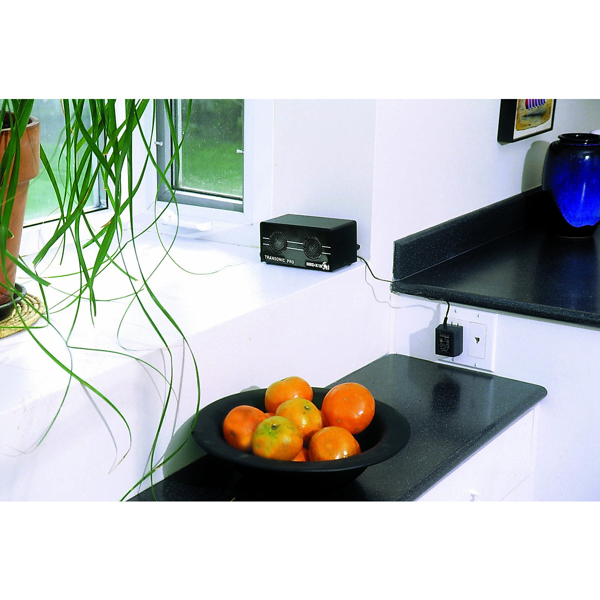 Bird-X Transonic Pro Electronic Pest Repeller