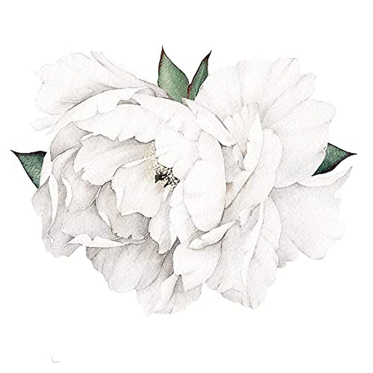 Wonder Space Jumbo Peony Watercolor Wall Decals - Large Size Peonies Flowers Leaves Room Wall Stickers - Scandinavian Design Floral (Pink & White)