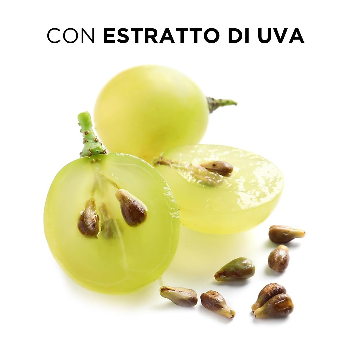 PHYTO Phytodensia Botanical Plumping Hair Shampoo, 6.79 Fl Oz