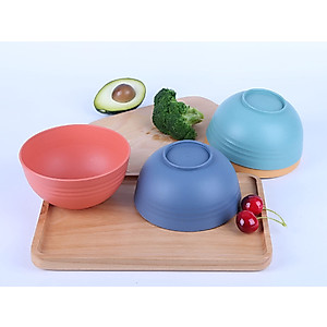 LuckyZone Unbreakable Cereal Bowls - 24 oz Reusable Wheat Straw Bowl Set of 4 - Dishwasher & Microwave Safe - Perfect for Cereal, Soup and Rice - BPA Free, Healthy & Eco-Friendly (4 Color_H)