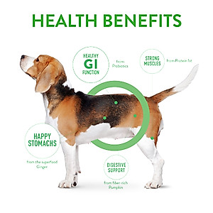 DOGSWELL Gut Health Meaty Jerky Dog Treats, Lamb, 10 oz. Pouch