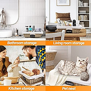 SITANES Seagrass Baskets for Organizing - 2Pcs Wicker Storage Basket with Lids & Liner - Woven Baskets Storage Baskets for Shelves with Black Labels Clips & White Marker 15" x 11" x 5"