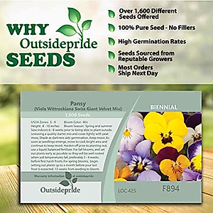 Outsidepride Pansy Velvet Mix Indoor House Plant Or Outdoor Garden Flower for Beds, Borders Pots, & Container - 2000 Seeds