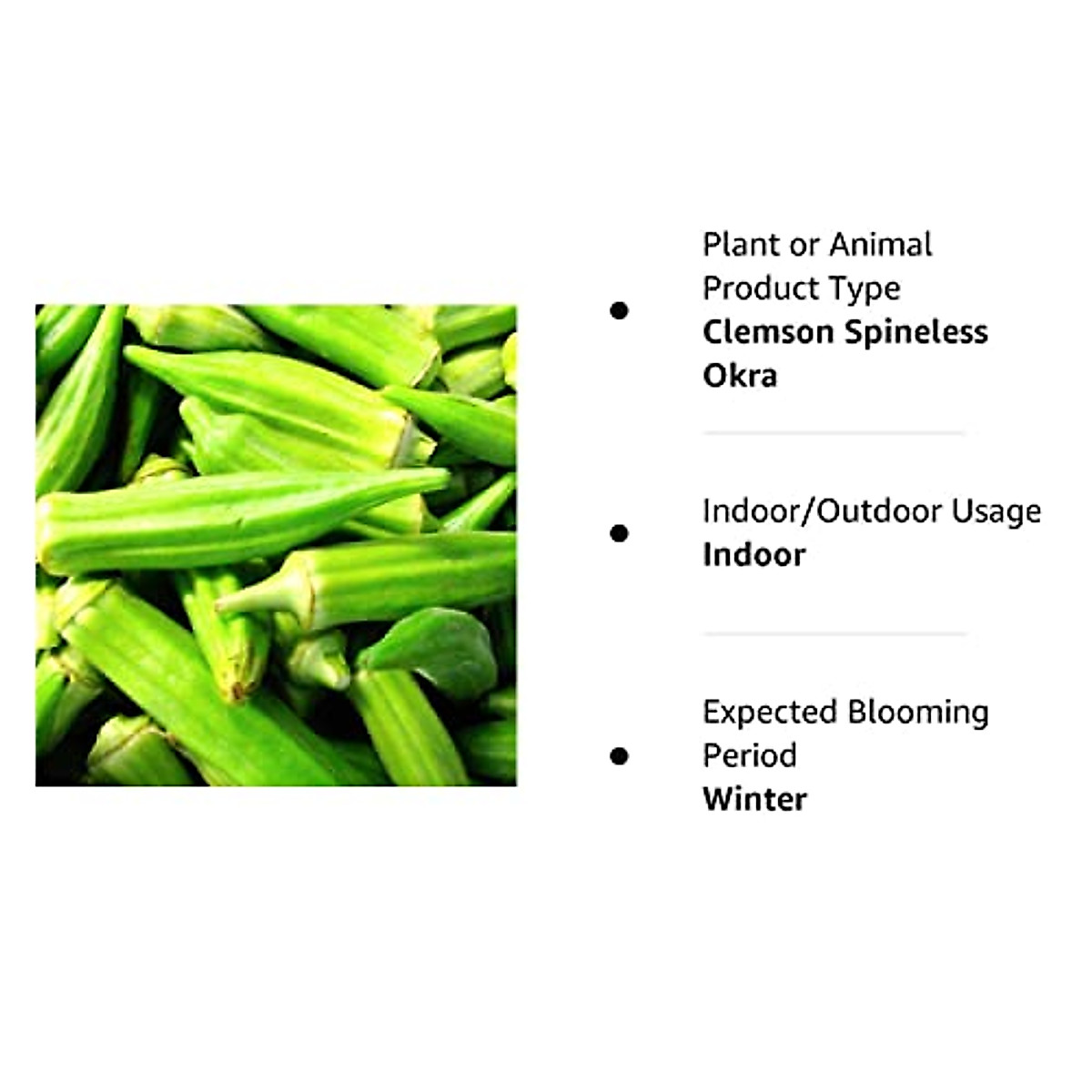100 Clemson Spineless Okra Seeds | Non-GMO | Fresh Garden Seeds